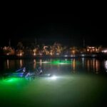 Florida: Sharkey's Guided Fish Feeding LED Night Tour - The Practicalities: What to Expect and Considerations