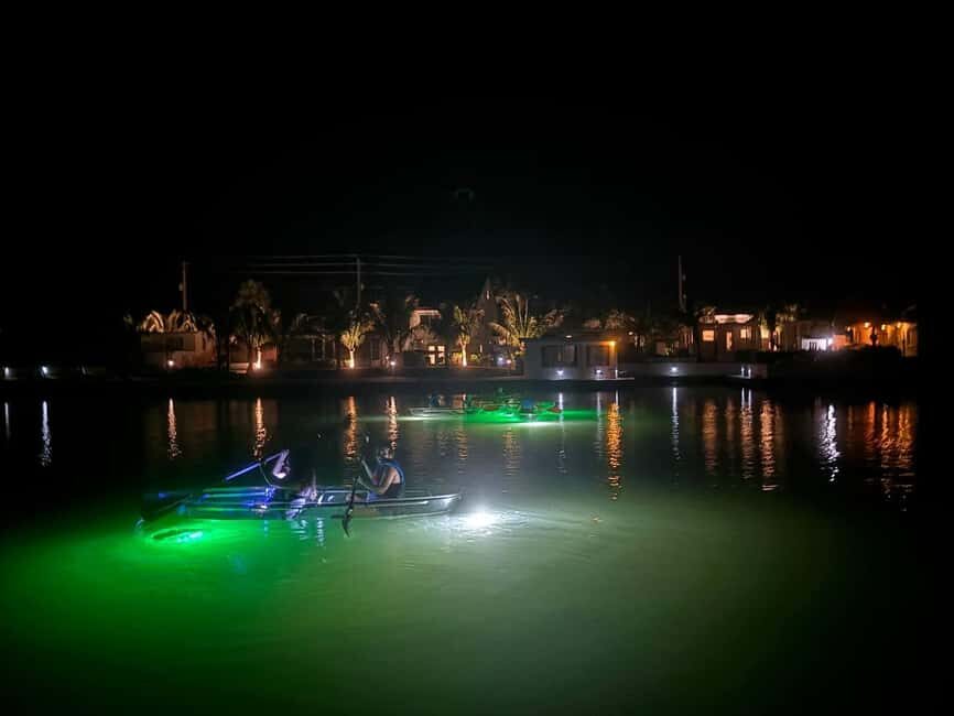 Florida: Sharkey's Guided Fish Feeding LED Night Tour - The Practicalities: What to Expect and Considerations