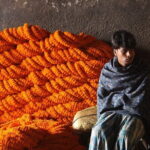 Flower Market Colors and Ganges Ghat Experience - Howrah Bridge: Kolkata’s Architectural Icon & Hustling Business Hub