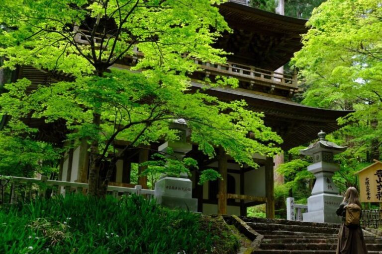 Fm Odawara: Forest bathing and onsen with healing power - An in-depth look at what this tour offers