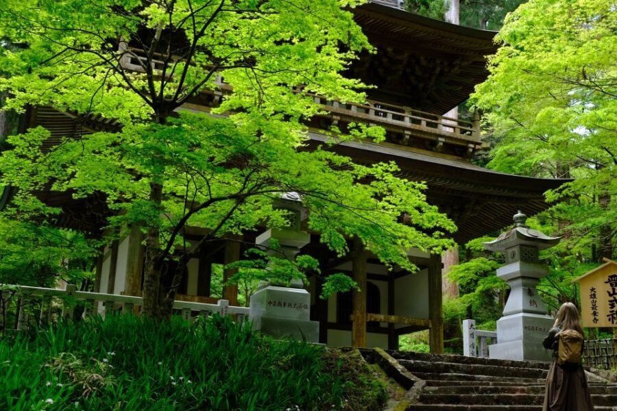 Fm Odawara: Forest bathing and onsen with healing power - An in-depth look at what this tour offers