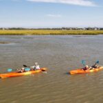 Folly Beach: Kayak Rental on the Folly River - The Sum Up: Who Is This Experience For?