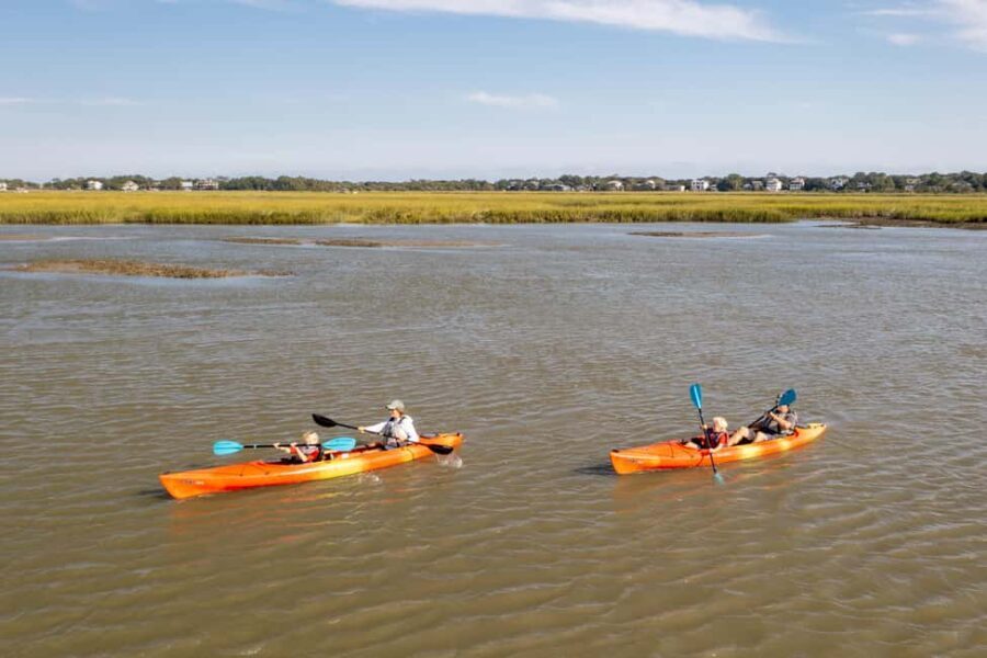 Folly Beach: Kayak Rental on the Folly River - The Sum Up: Who Is This Experience For?