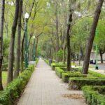 Foodie Tour in Polanco: Mexico Culinary roots! - The Itinerary: Step-by-Step
