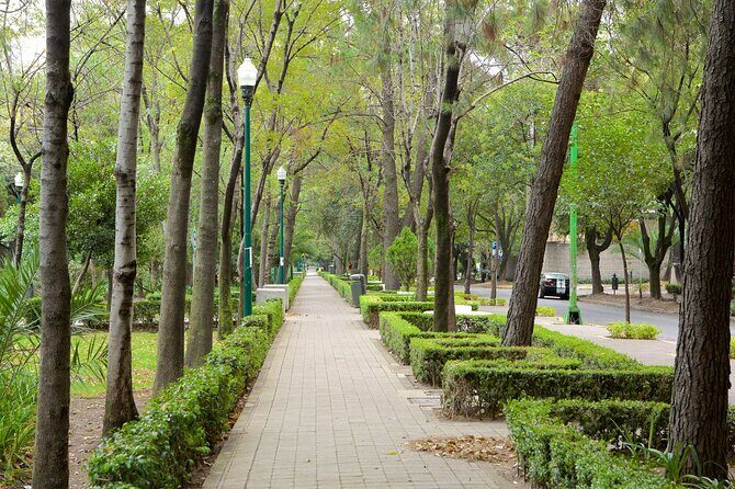 Foodie Tour in Polanco: Mexico Culinary roots! - The Itinerary: Step-by-Step