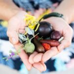 Foraging Food Tour Sydney Native Aussie Food - The Sum Up