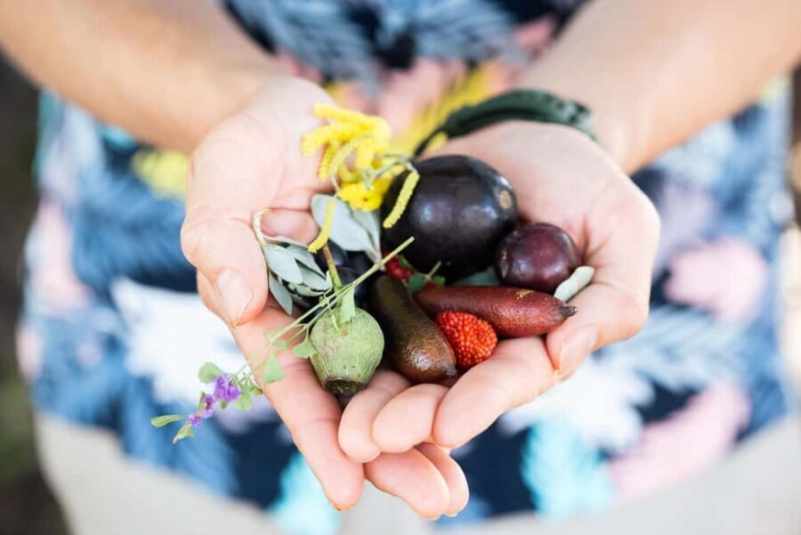 Foraging Food Tour Sydney Native Aussie Food - The Sum Up