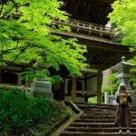 Forest Bathing in Temple and Enjoy onsen with healing power - Key Points