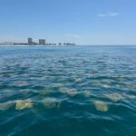 Fort Lauderdale: Parasailing on Fort Lauderdale Beach - Practical Details