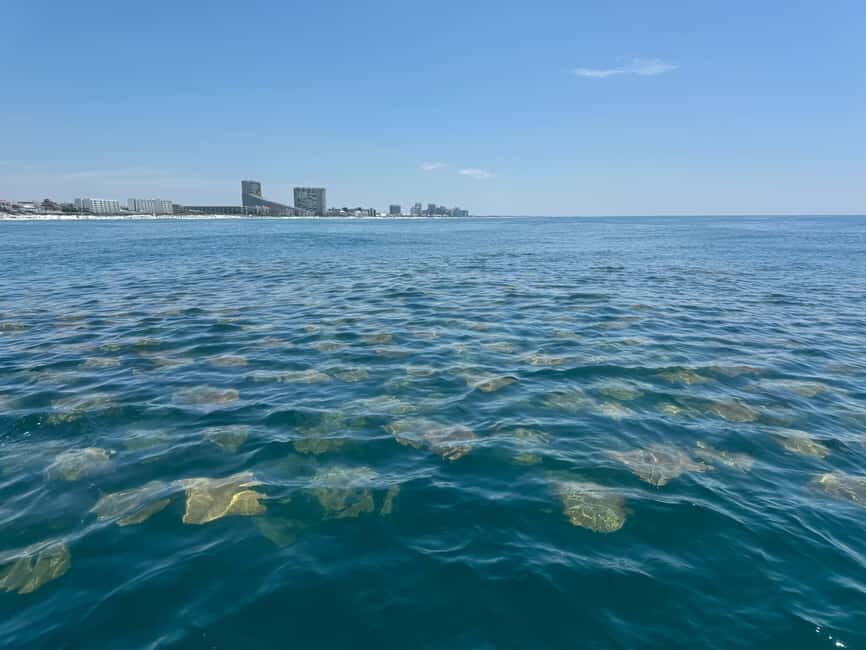 Fort Lauderdale: Parasailing on Fort Lauderdale Beach - Practical Details