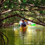 Fort Lauderdales Tropical Kayak Tour and Island Adventure - Practical Tips and Additional Details