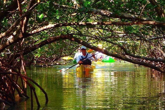Fort Lauderdales Tropical Kayak Tour and Island Adventure - Practical Tips and Additional Details
