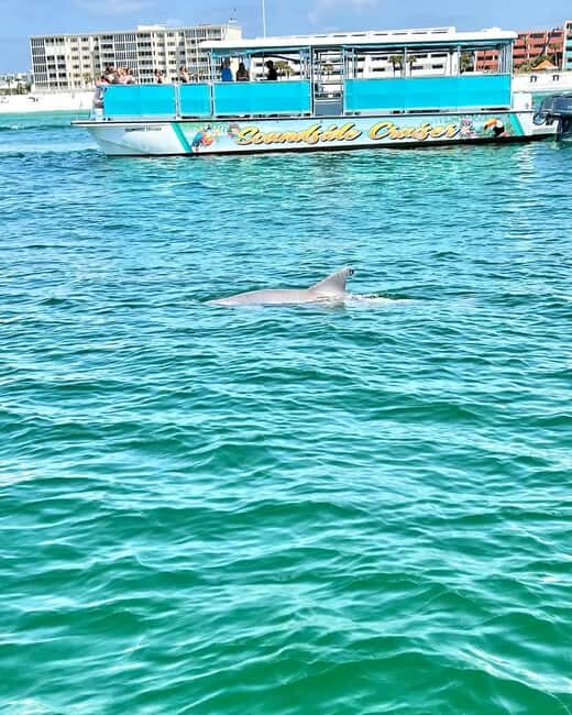 Fort Walton Beach: Emerald Coast 2-hour Dolphin Cruise - FAQ
