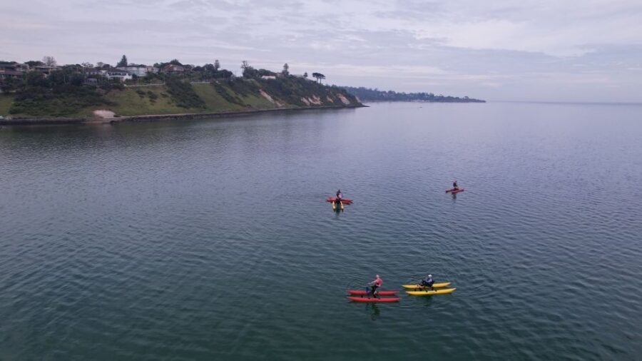 Frankston: Port Phillip Bay Water Bike Tour - The Experience Step-by-Step