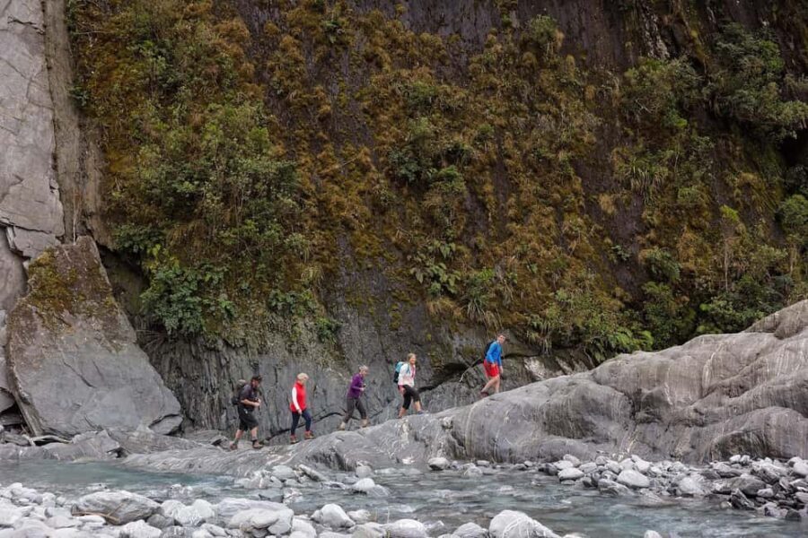 Franz Josef: Franz Josef Glacier Lookout Guided Walk - Practical Considerations