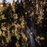 Franz Josef: Half-Day Guided Tour to Okarito - Who Will Enjoy This Tour?