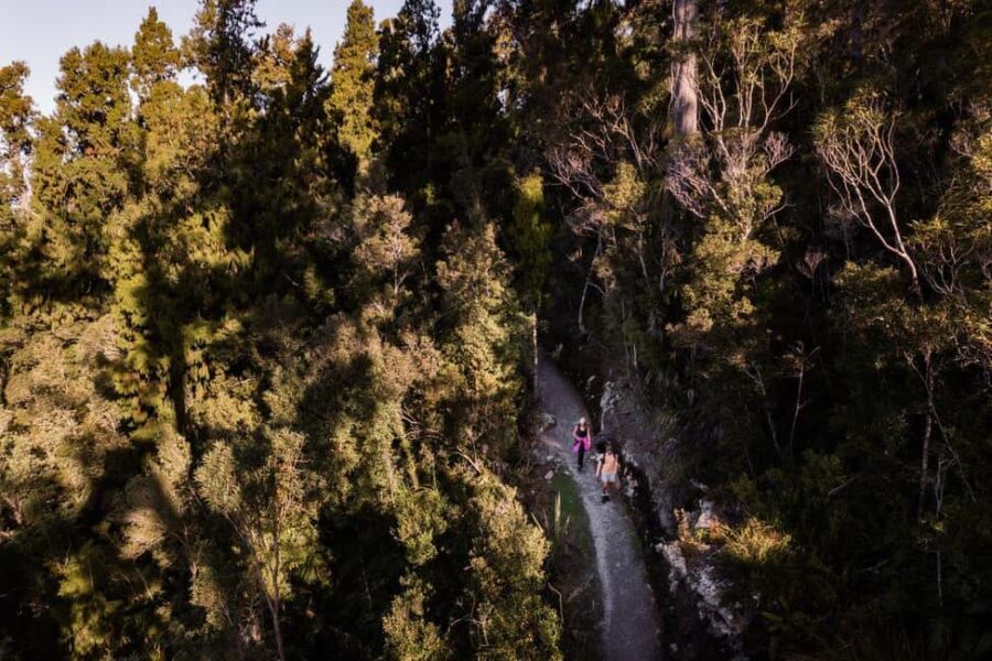 Franz Josef: Half-Day Guided Tour to Okarito - Who Will Enjoy This Tour?