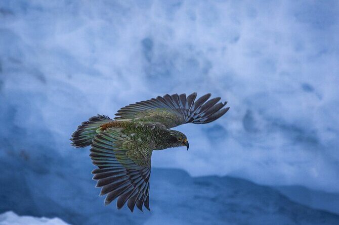 Franz Josef to Christchurch 1-Way Small Group Tour via Hokitika - Who Should Consider This Tour?