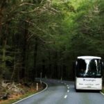 Franz Josef to Queenstown Day Tour - Crossing the Haast Pass and Native Forests