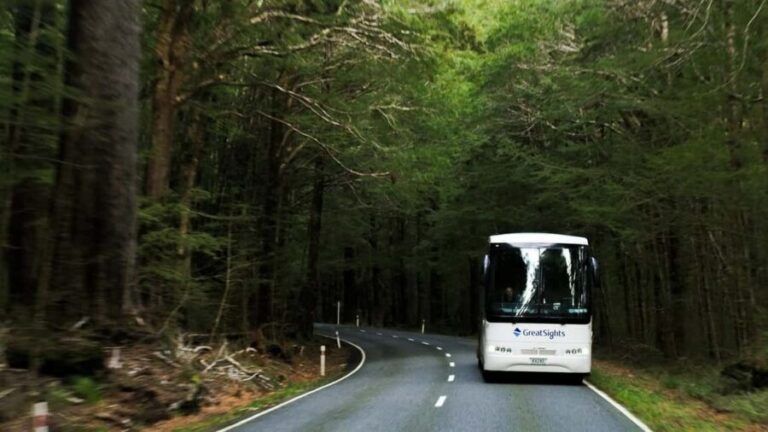 Franz Josef to Queenstown Day Tour - Crossing the Haast Pass and Native Forests