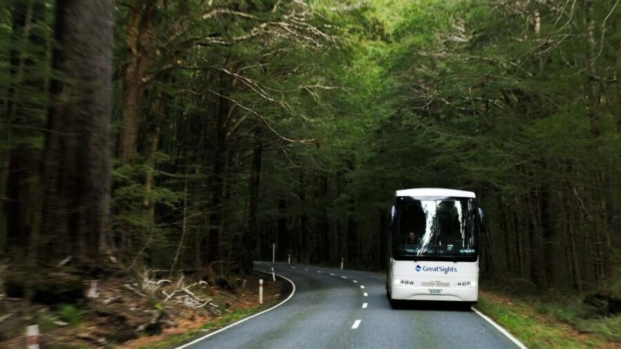 Franz Josef to Queenstown Day Tour - Crossing the Haast Pass and Native Forests