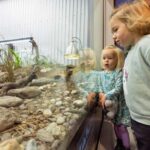 Franz Josef: West Coast Wildlife Centre Entry Ticket - The Heart of the Experience: Wildlife and Conservation