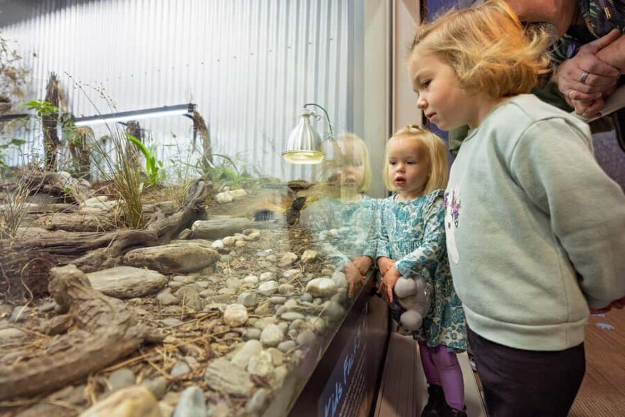 Franz Josef: West Coast Wildlife Centre Entry Ticket - The Heart of the Experience: Wildlife and Conservation