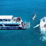 Fraser Island (K'gari): Remote Island and Whale Experience - The Practical Side: What You Need to Know