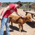 Fredericksburg Cow Cuddling - Price and Value