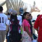 Fremantle: Convicts, Culture, and Street Art - Value and Practical Details