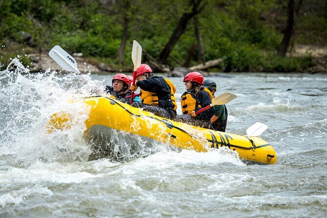 French Broad Gorge Whitewater Rafting Trip - What the Reviews Say: Authentic Perspectives