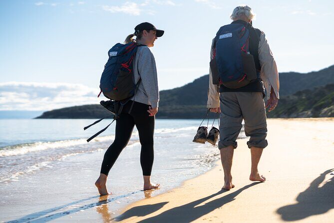 Freycinet Walking Tour - Who Should Consider This Tour?