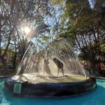 Frida Kahlo Museum Entry Ticket - What You Can Expect: The Itinerary