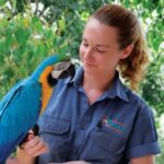 Friends in the Rainforest Package: Koala Gardens & Birdworld - Introduction: What This Tour Offers