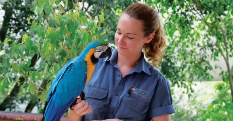 Friends in the Rainforest Package: Koala Gardens & Birdworld - Introduction: What This Tour Offers