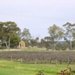 From Adelaide: Clare Valley Winery Tour - Detailed Breakdown of the Clare Valley Winery Tour