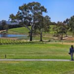 From Adelaide: Cuddle a Koala and Historic Hahndorf Tour - Practical Details and Considerations