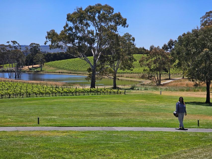 From Adelaide: Cuddle a Koala and Historic Hahndorf Tour - Practical Details and Considerations