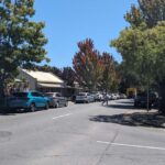 From Adelaide: South Australia Full-Day Tour - Itinerary Breakdown: What to Expect