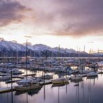 From Anchorage: 4-Day Seward and Kenai Camping & Hiking Tour - What Makes This Tour Stand Out?