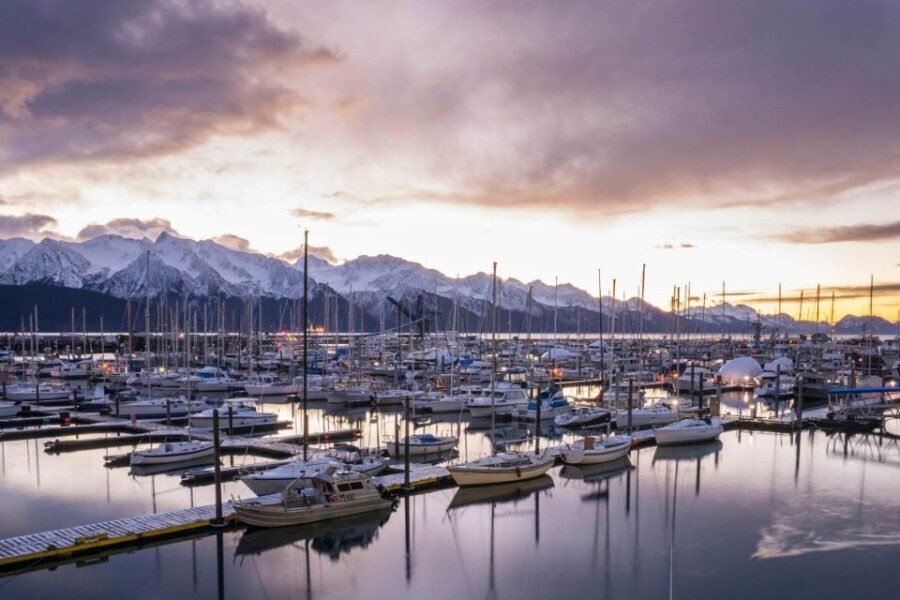 From Anchorage: 4-Day Seward and Kenai Camping & Hiking Tour - What Makes This Tour Stand Out?