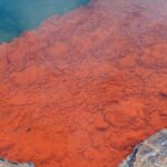 From Auckand: Wai-O-Tapu and Polynesian Spa Rotorua Day Tour - Authentic Experiences and Traveler Feedback