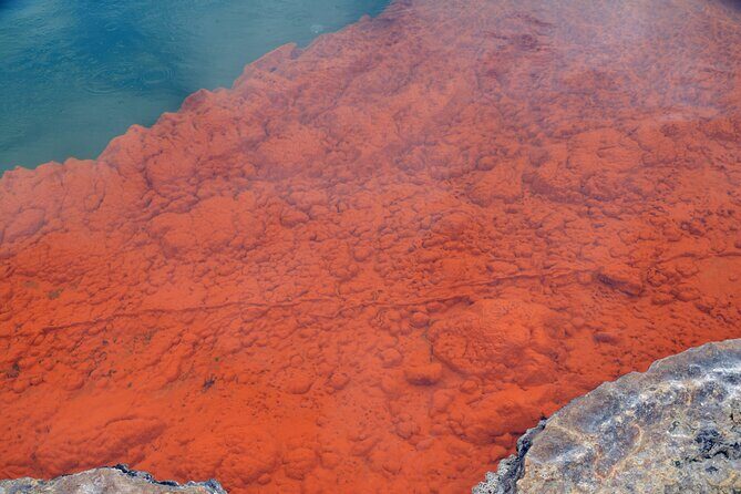 From Auckand: Wai-O-Tapu and Polynesian Spa Rotorua Day Tour - Authentic Experiences and Traveler Feedback