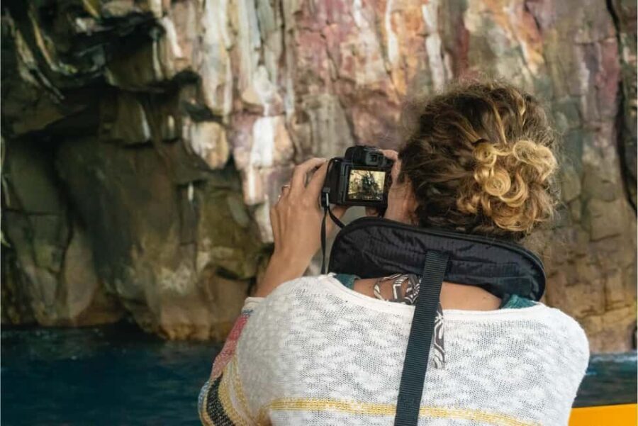 From Auckland: ALDERMAN ISLANDS (Ruamaahu) Day Trip - Wildlife and Marine Life
