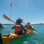 From Auckland: Browns Island Motukorea Sea Kayak Tour - The Itinerary Breakdown
