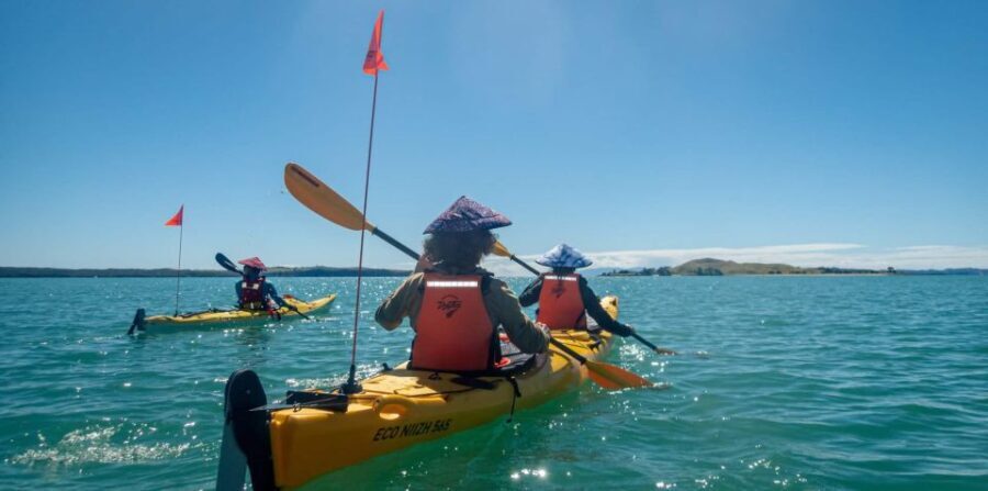 From Auckland: Browns Island Motukorea Sea Kayak Tour - The Itinerary Breakdown