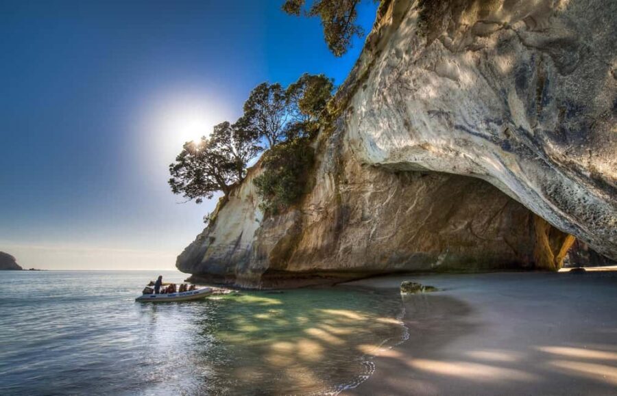 From Auckland: Cathedral Cove & Hot Water Beach Tour - A Kiwi-Style Picnic and Beachside Stop