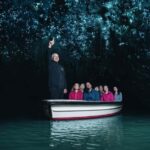 From Auckland: Day Trip to Waitomo Glow Worm Caves - Overview and General Impressions