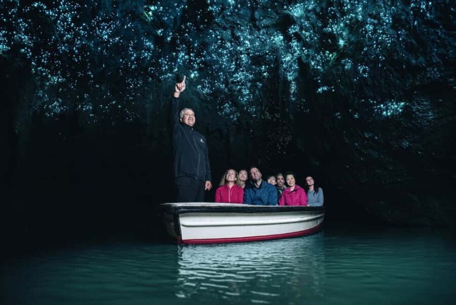 From Auckland: Day Trip to Waitomo Glow Worm Caves - Overview and General Impressions
