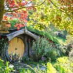 From Auckland: Hobbiton and Waitomo Day Tour with Lunch - Why This Tour Offers Great Value